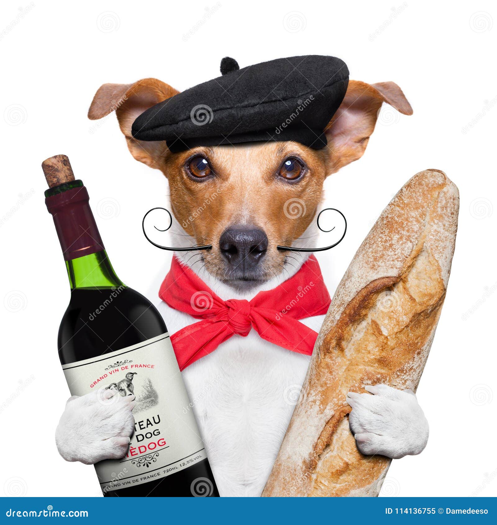Boina Del Baguette Del Vino Del Perro Imagen de archivo - Imagen de ...