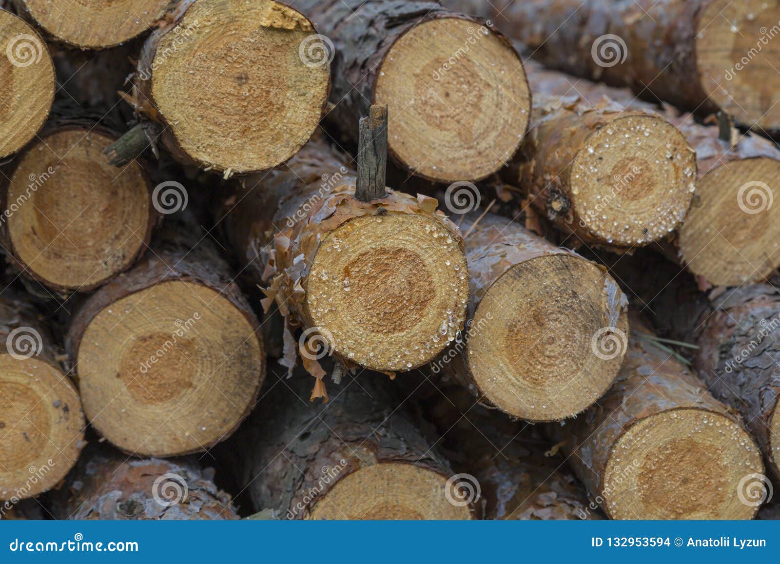 Bois De Construction Rond En Bois Photo stock - Image du matériau ...