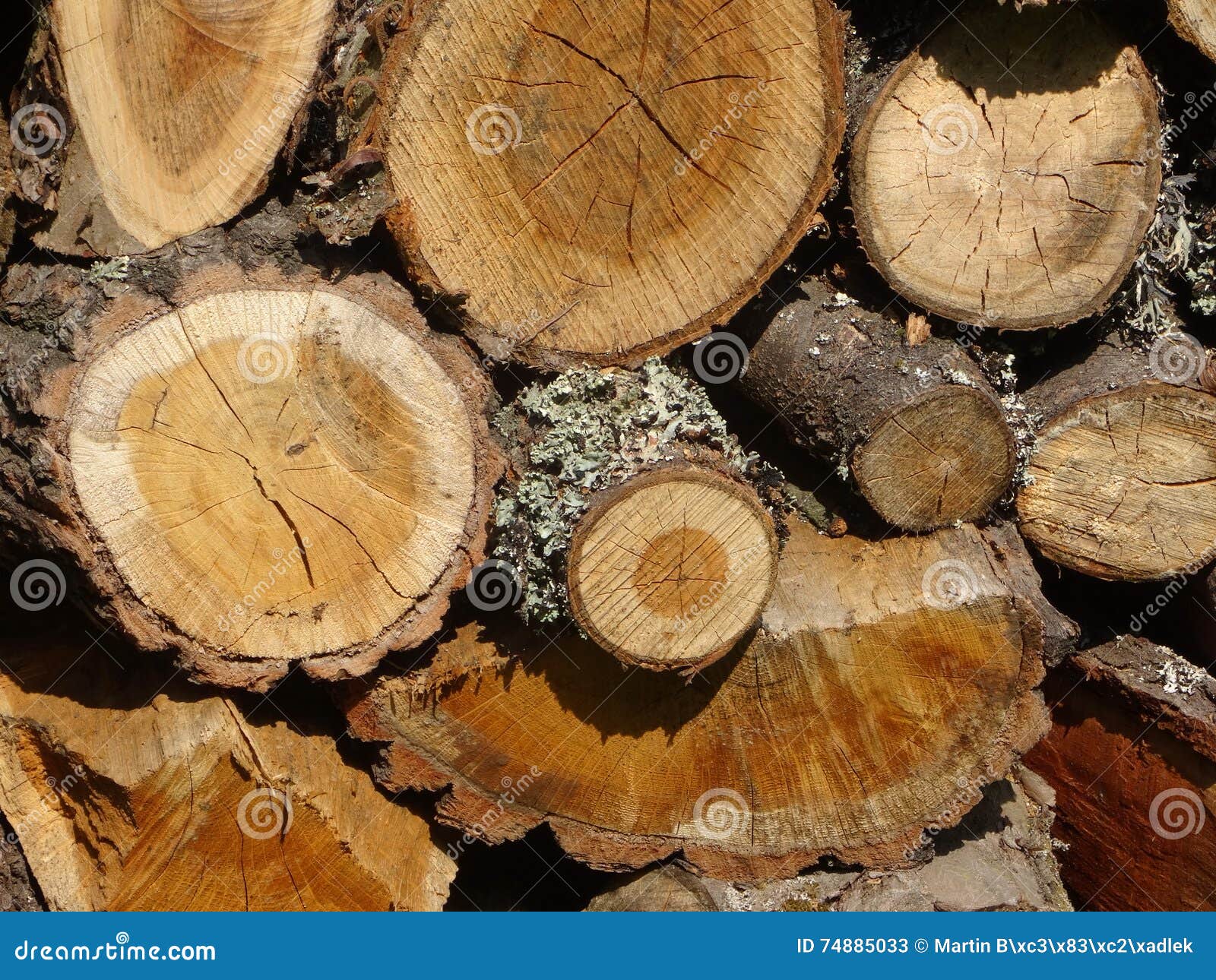 Bois Un tronc image stock. Image du forêt, industrie - 74885033