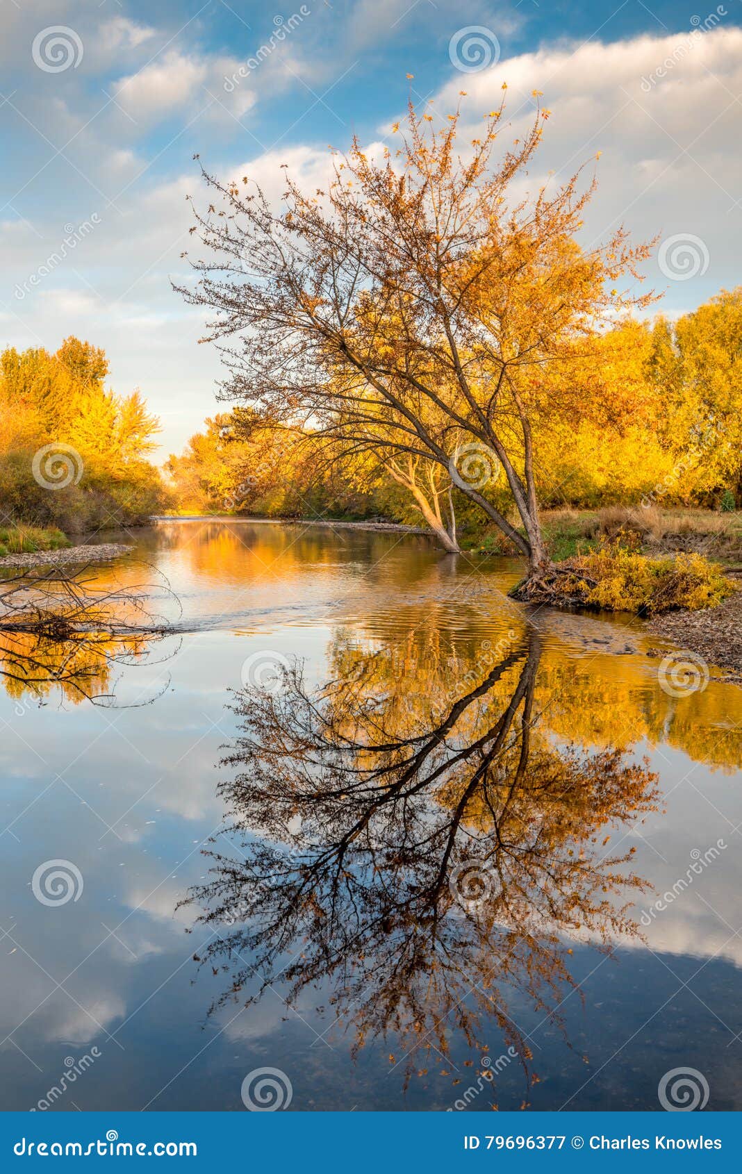Boise River with Fall Colored Trees Stock Image - Image of river, idaho ...