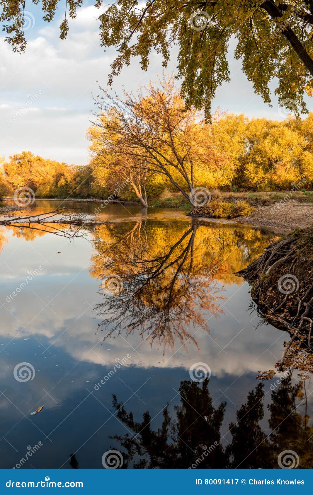 Boise River with Fall Tree Reflection Stock Image - Image of gravel ...
