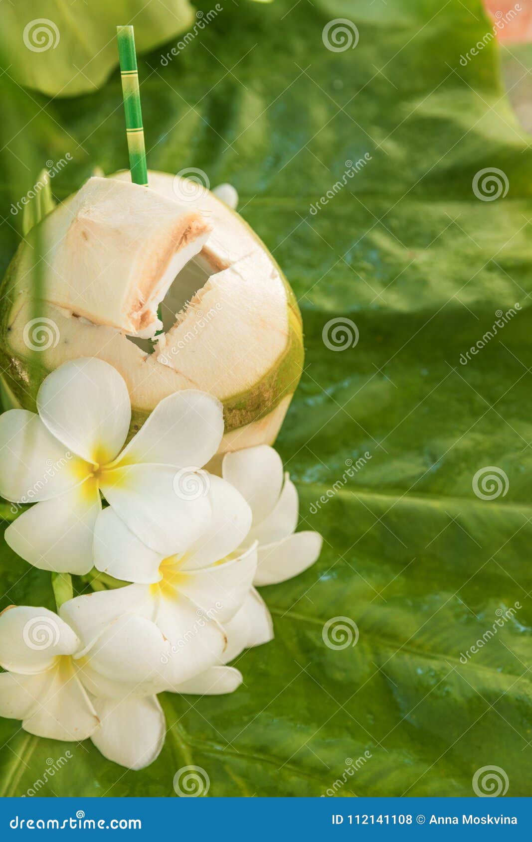 Boisson Et Fleurs De Fruit Exotiques Tropicales De Noix De Coco Photo ...