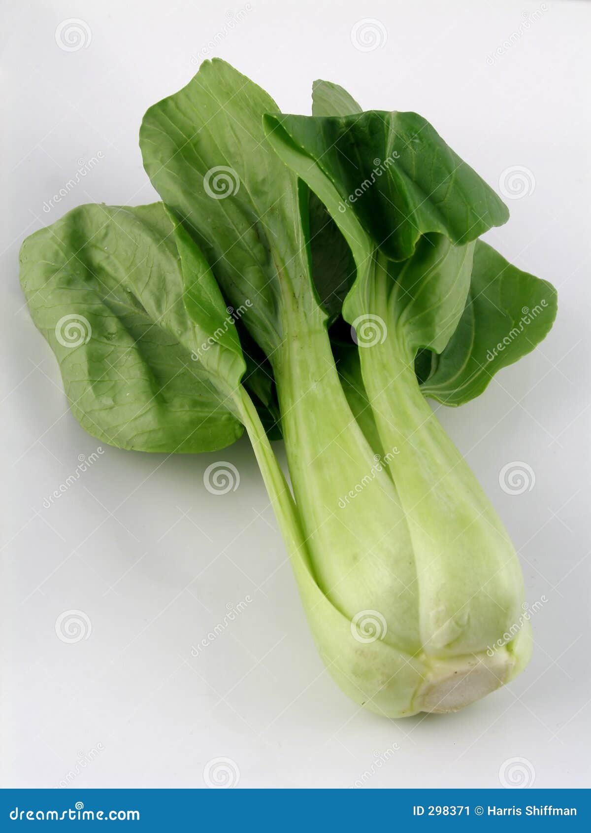 Bok choi stock image. Image of stir, healthy, choi, green - 298371