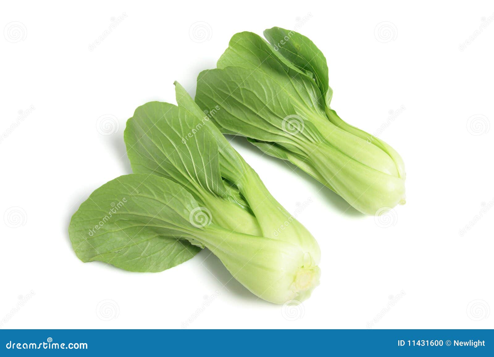 Bok Choy stock photo. Image of fibre, choy, chinese, shot - 11431600