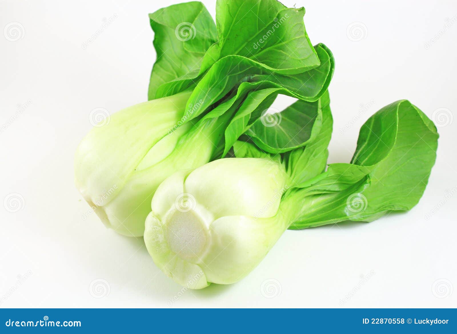 Bok Choy stock photo. Image of background, groceries - 22870558