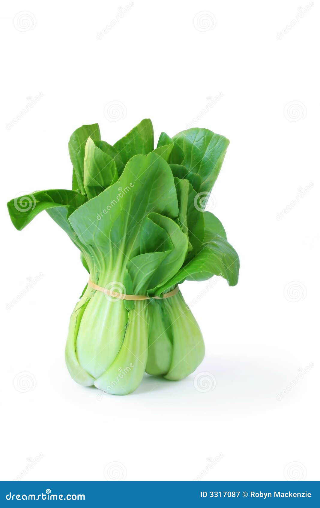 Bok Choy stock image. Image of paak, fresh, flavorsome - 3317087