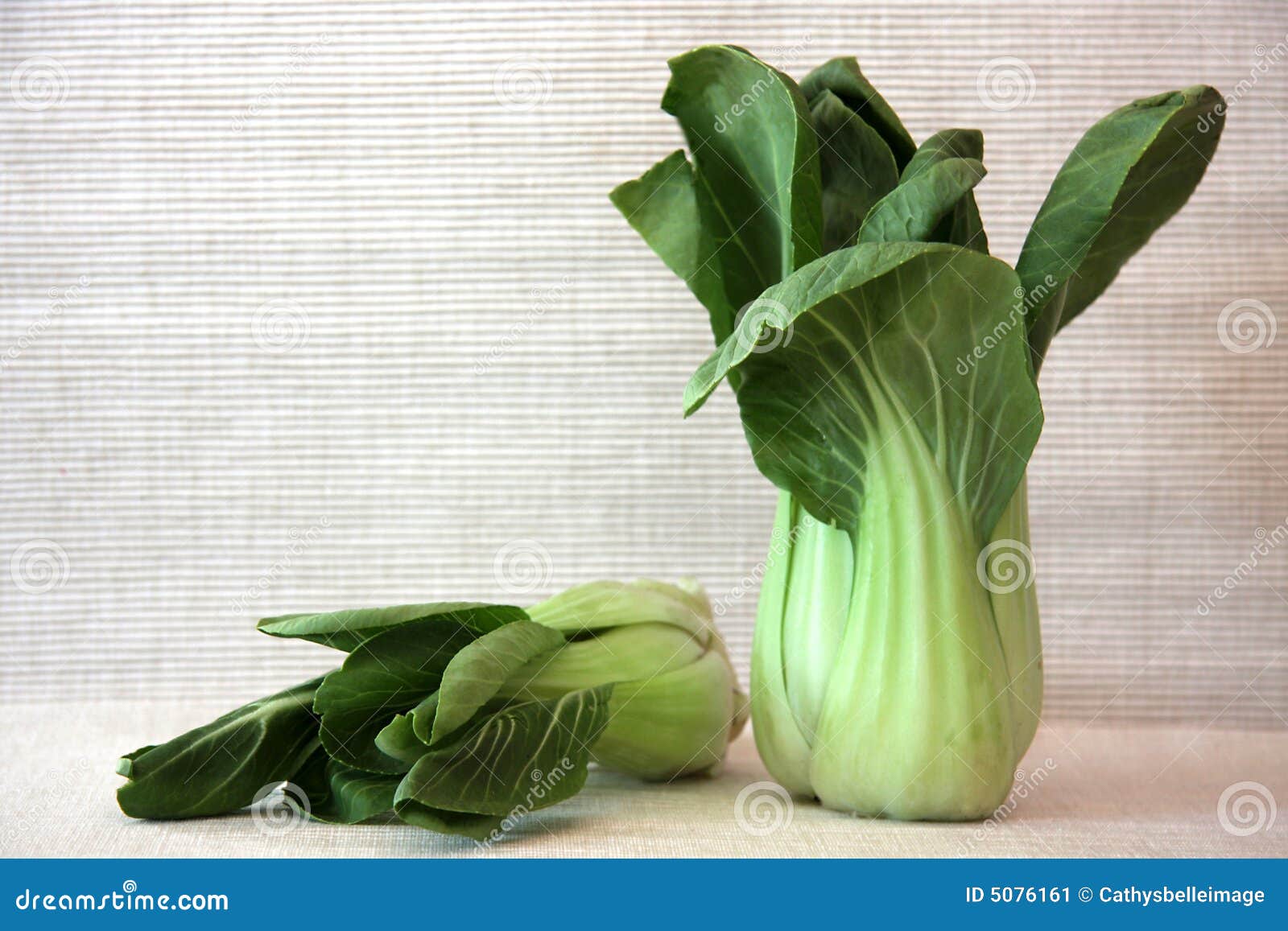 Bok choy stock image. Image of leaf, flavor, chinese, cabbage - 5076161
