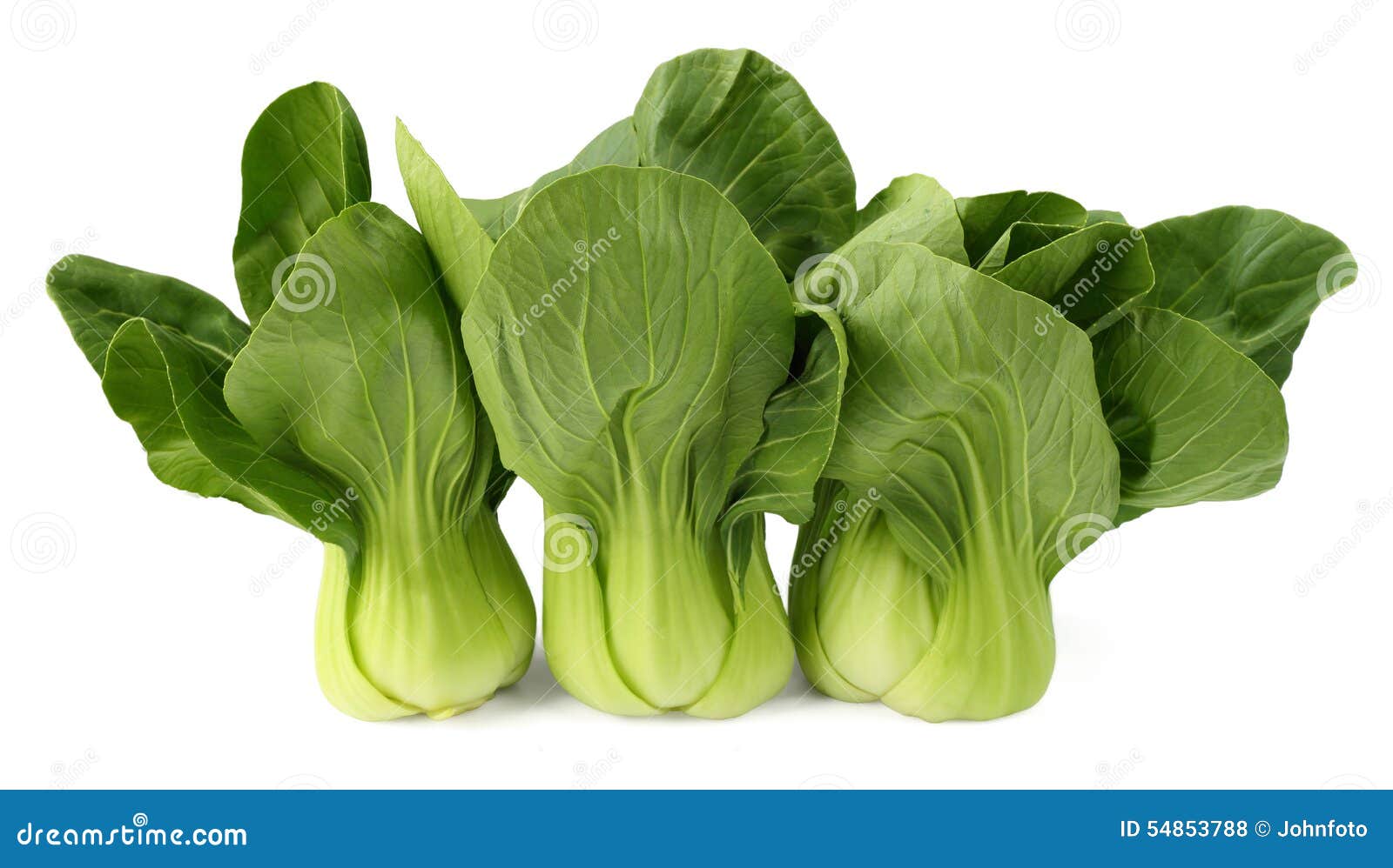 Bok choy stock photo. Image of asian, food, healthy, brassica - 54853788