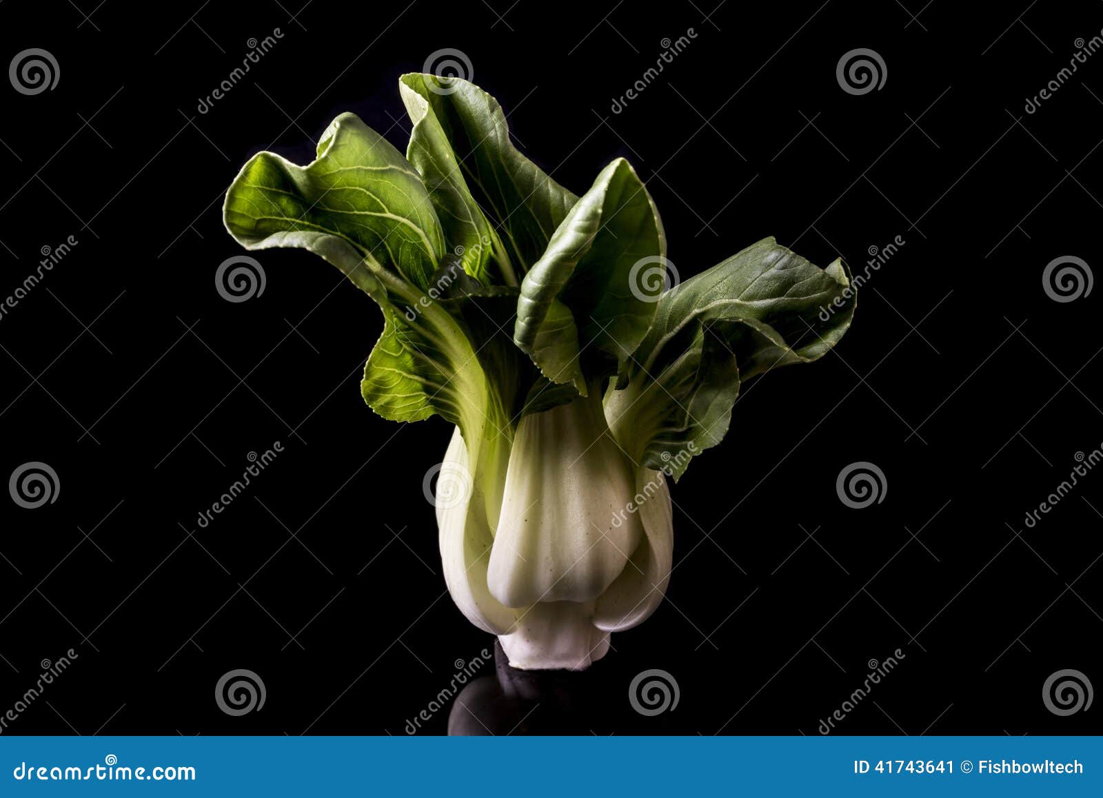 Bok choy stock image. Image of ingredient, vegetable - 41743641
