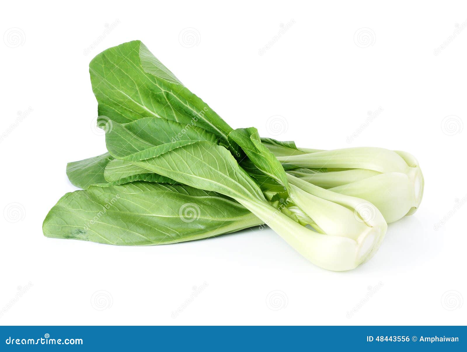 Bok Choy (chinese Cabbage Or Qing Geng Cai) Isolated On White Royalty ...