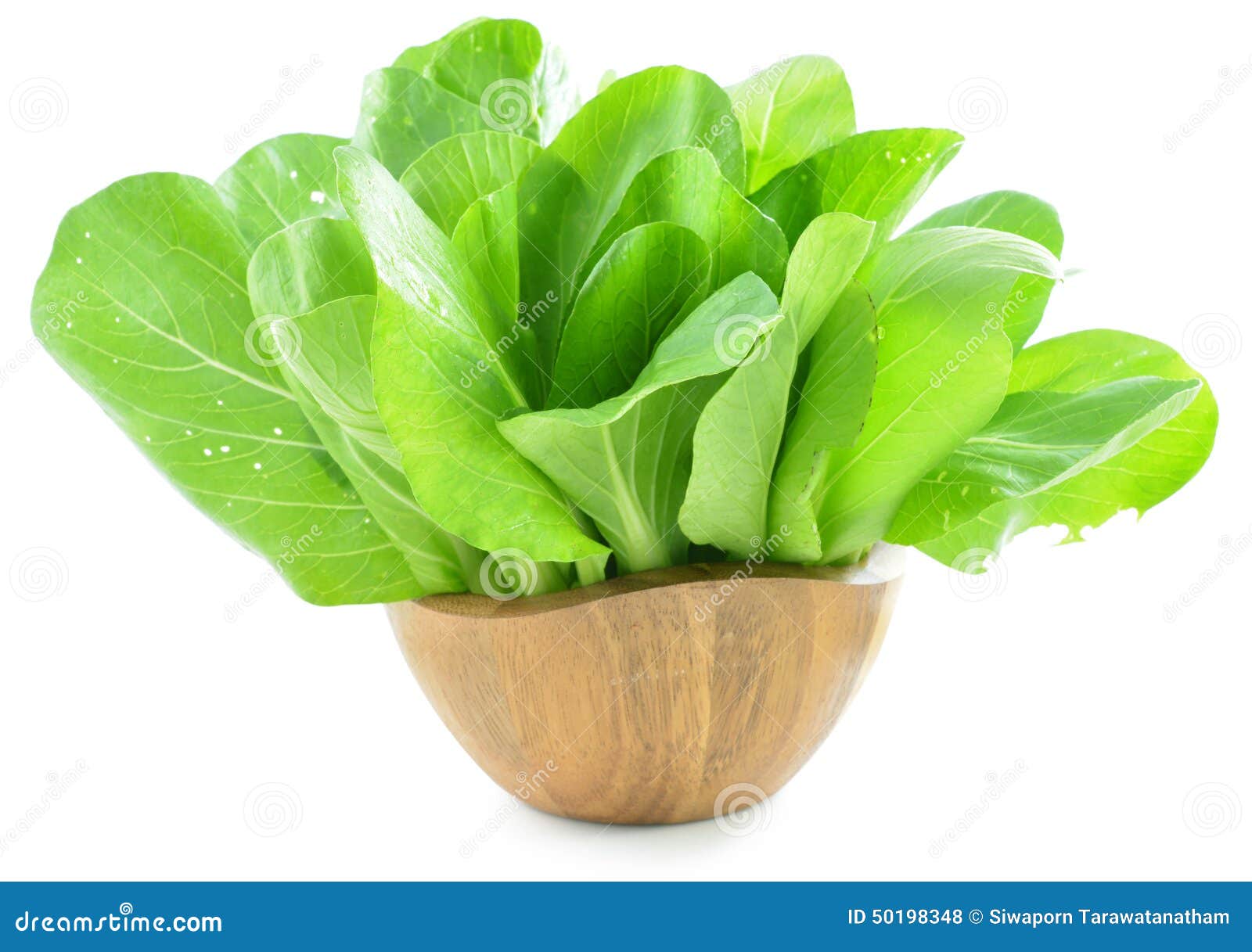 Bok Choy (Chinese Kool) Op Wit Stock Foto - Image of dieet, eetbaar ...