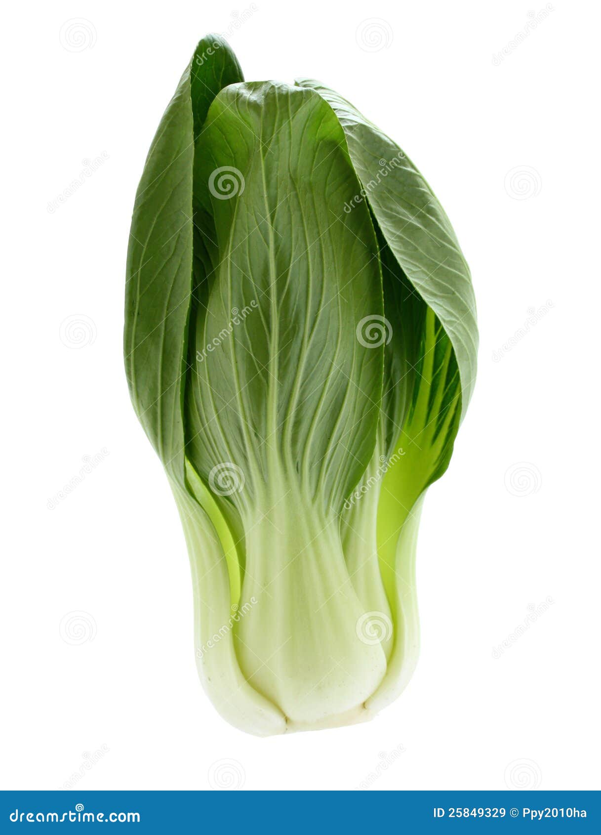 Bok Choy, Choi De Pak, Choi De Pok Image stock - Image du organique ...