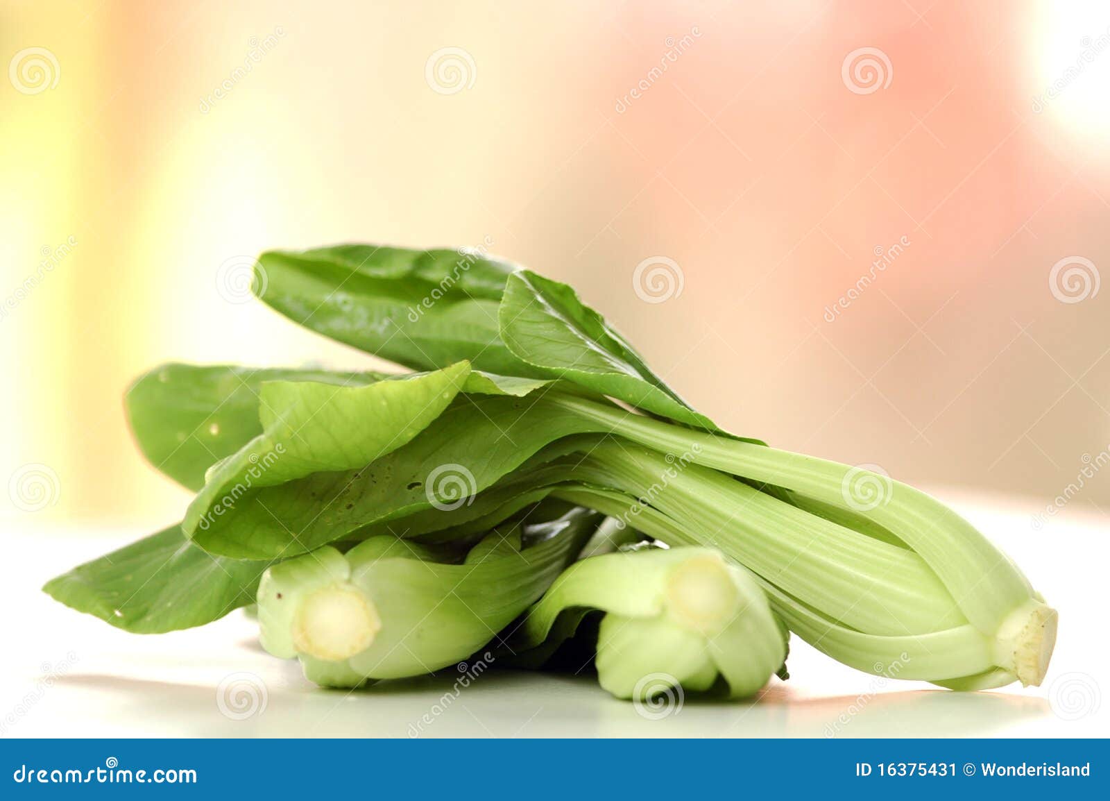 Bok Choy (Pak Choi) stock image. Image of choi, choy - 16375431