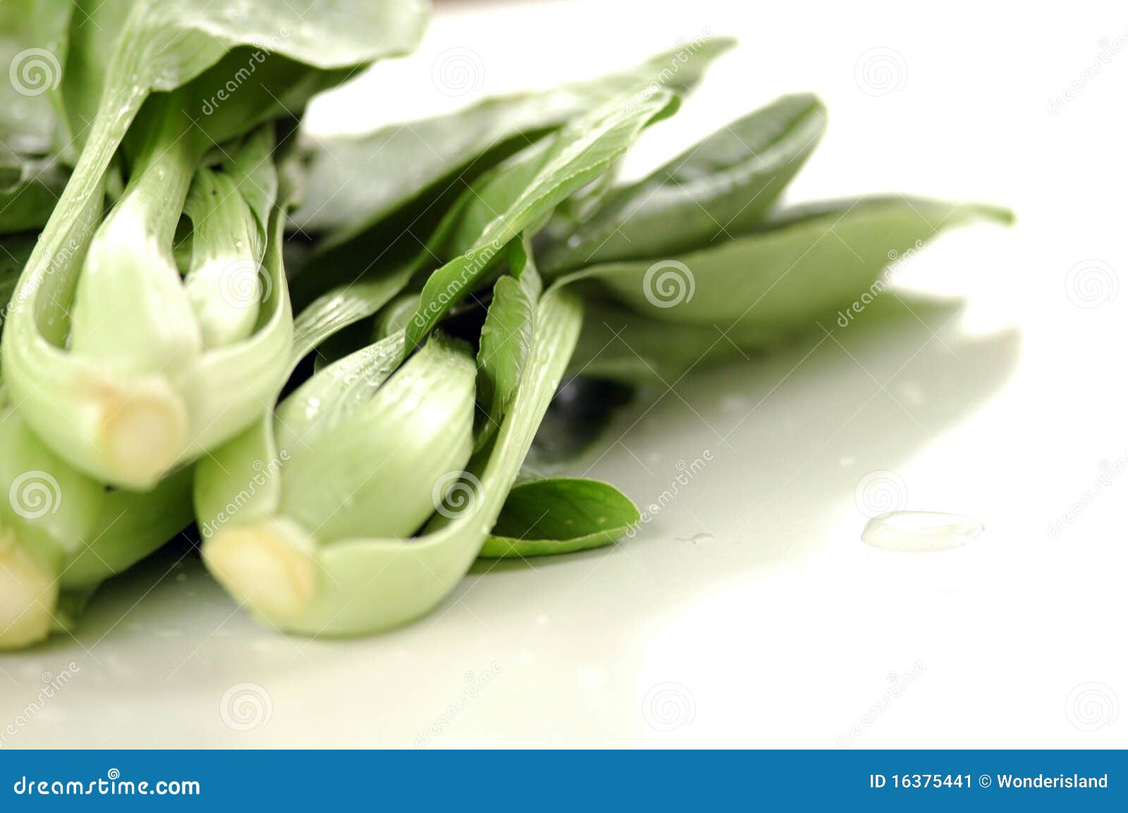 Bok Choy (Pak Choi) stock image. Image of chinensis, healthy - 16375441