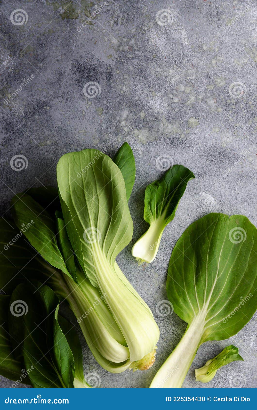 Bok choy plant and leaves. stock photo. Image of meal - 225354430