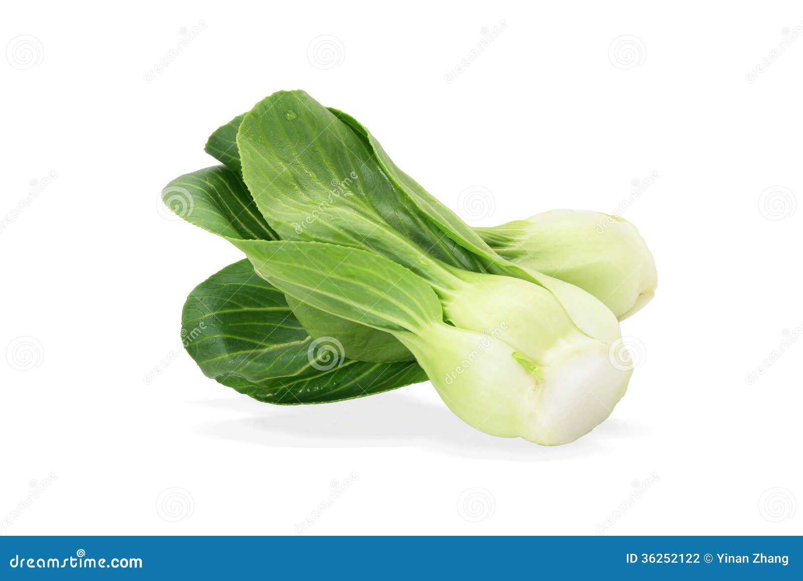 Bok choy stock photo. Image of color, crop, patterning - 36252122