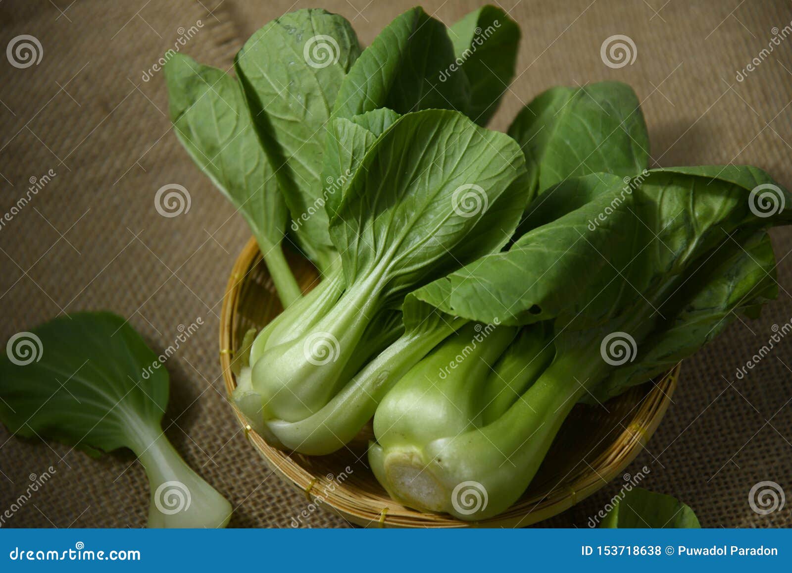 Bok Choy Vegetable in a Basket Stock Photo - Image of plant, choy ...
