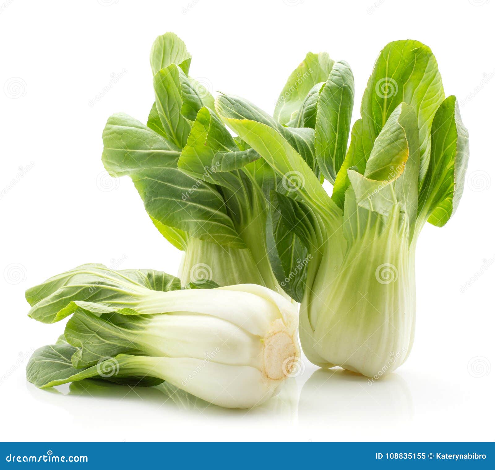 Bok Fresco Choy Aislado En Blanco Imagen de archivo - Imagen de cardo ...