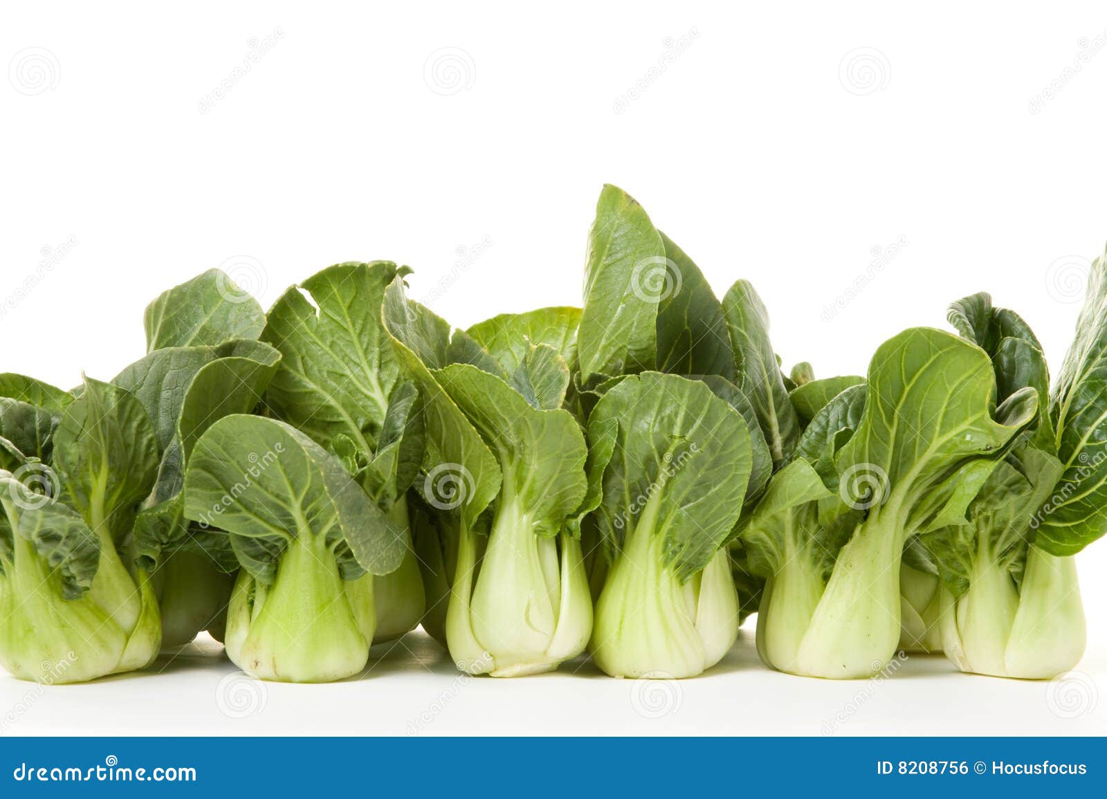 Bokchoy Stock Photos - Download 229 Royalty Free Photos