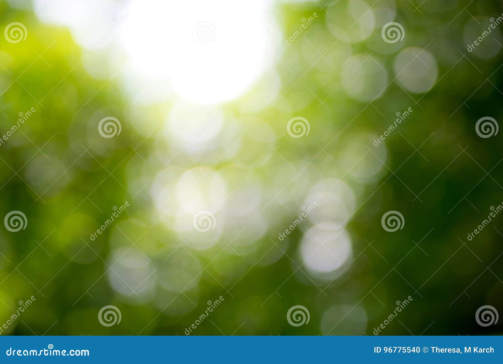Bokeh Background Blur stock photo. Image of green, abstract - 96775540