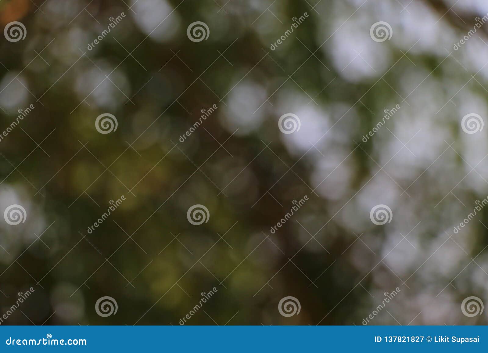 Bokeh Background for Design Stock Image - Image of leaves, blurred ...