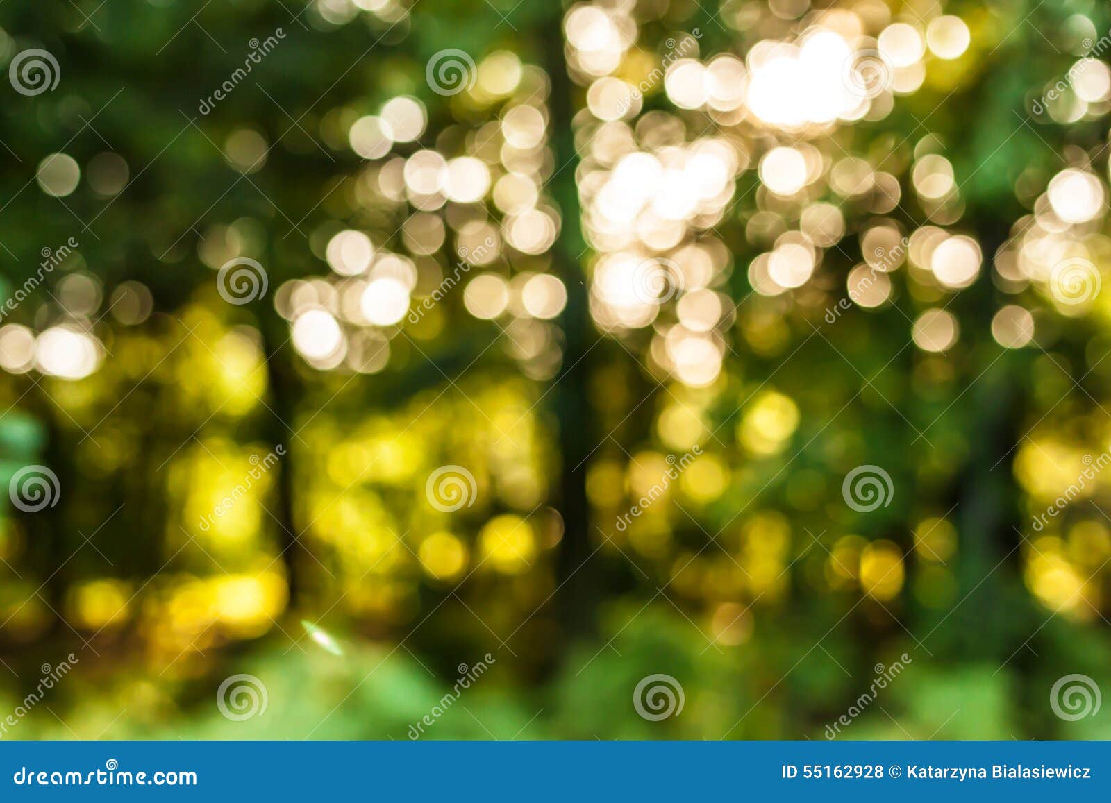 Bokeh Defocused Forest Background Stock Photo - Image of beauty, park ...
