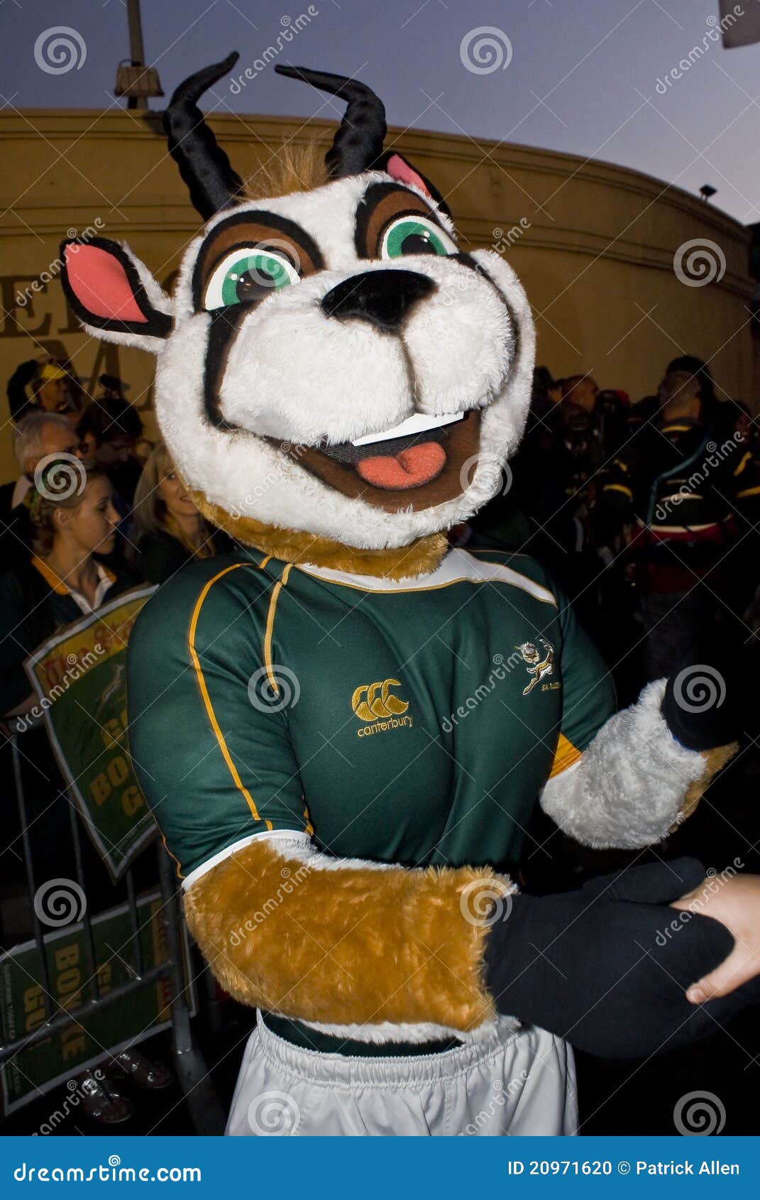 Bokke - Mascot editorial image. Image of mandela, fans - 20971620