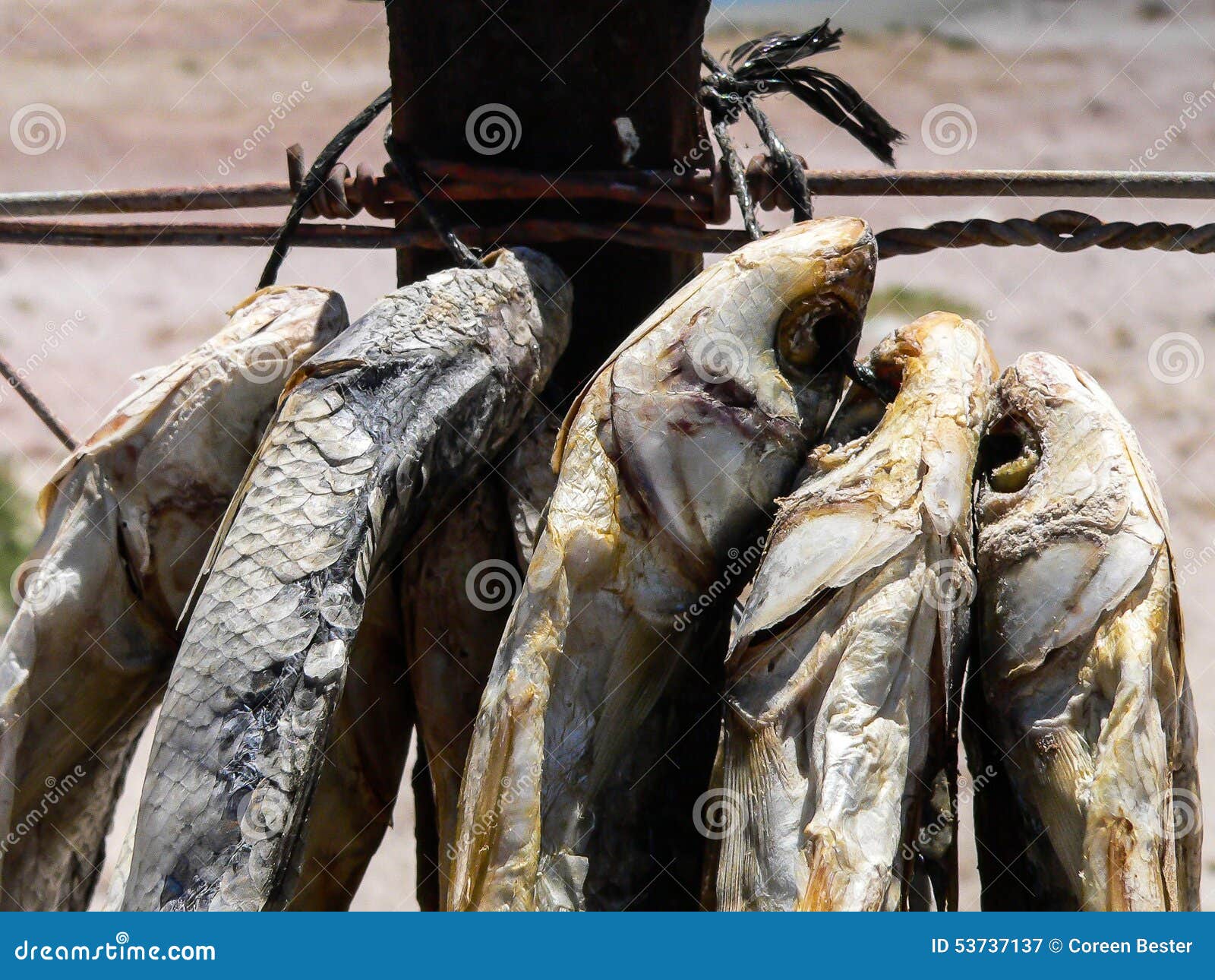 Bokkoms stock image. Image of marine, restaurant, interior - 53737137