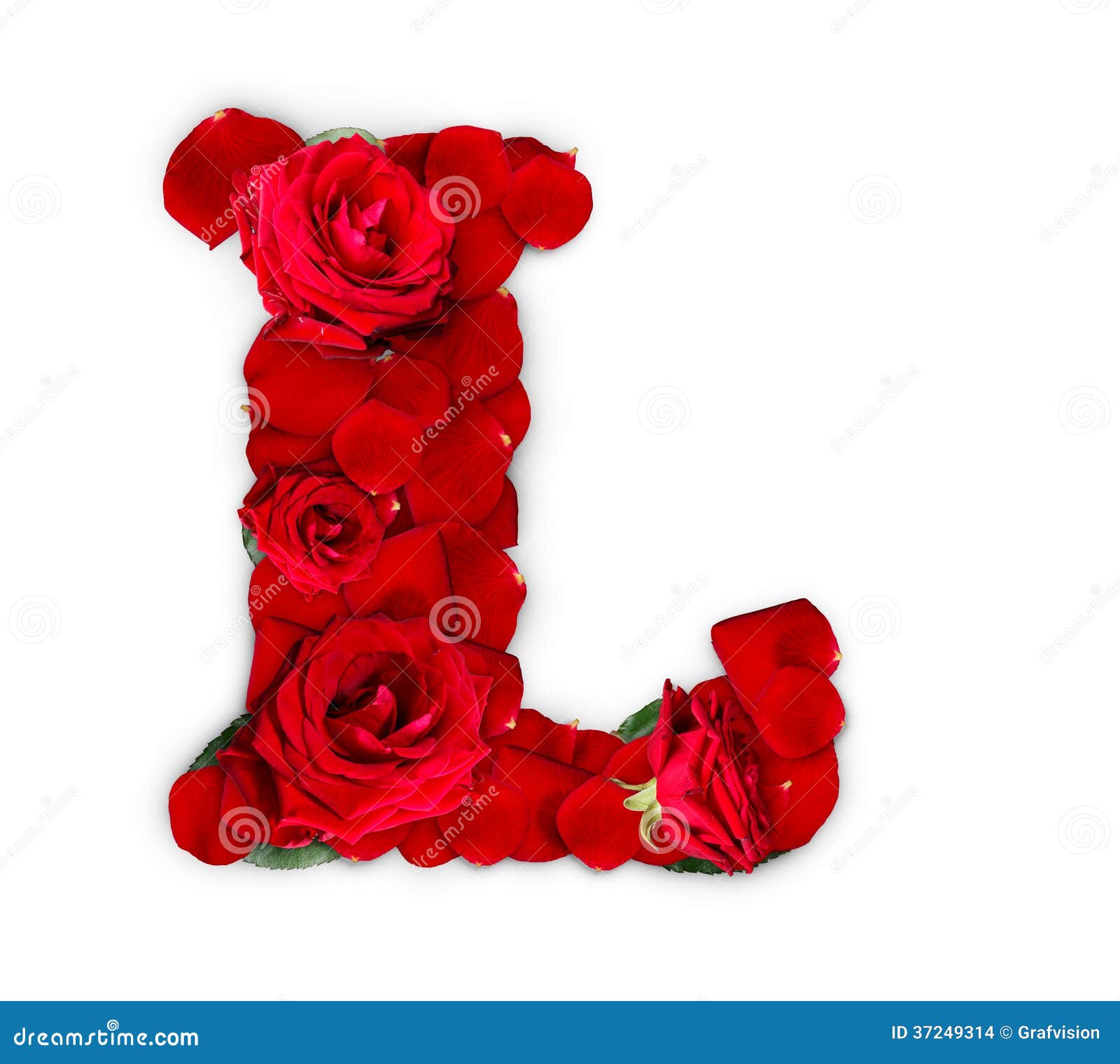 Bokstav L arkivfoto. Bild av valentin, text, blomma, petaler - 37249314