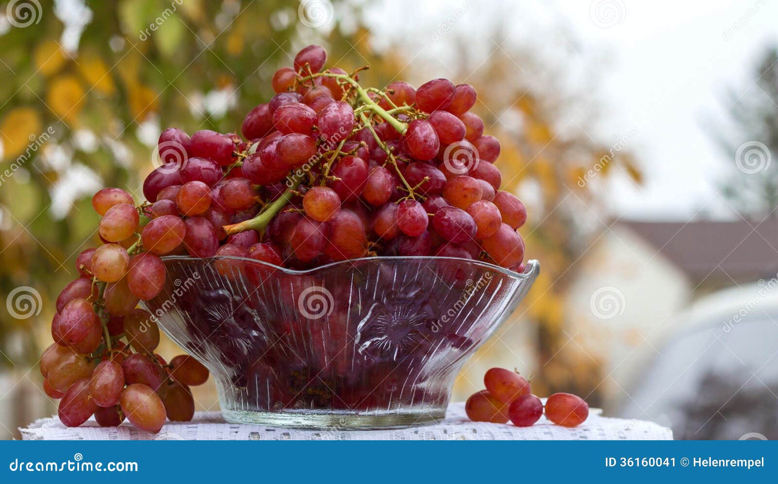 Bol de raisins rouges image stock. Image du cuvette, dodu - 36160041