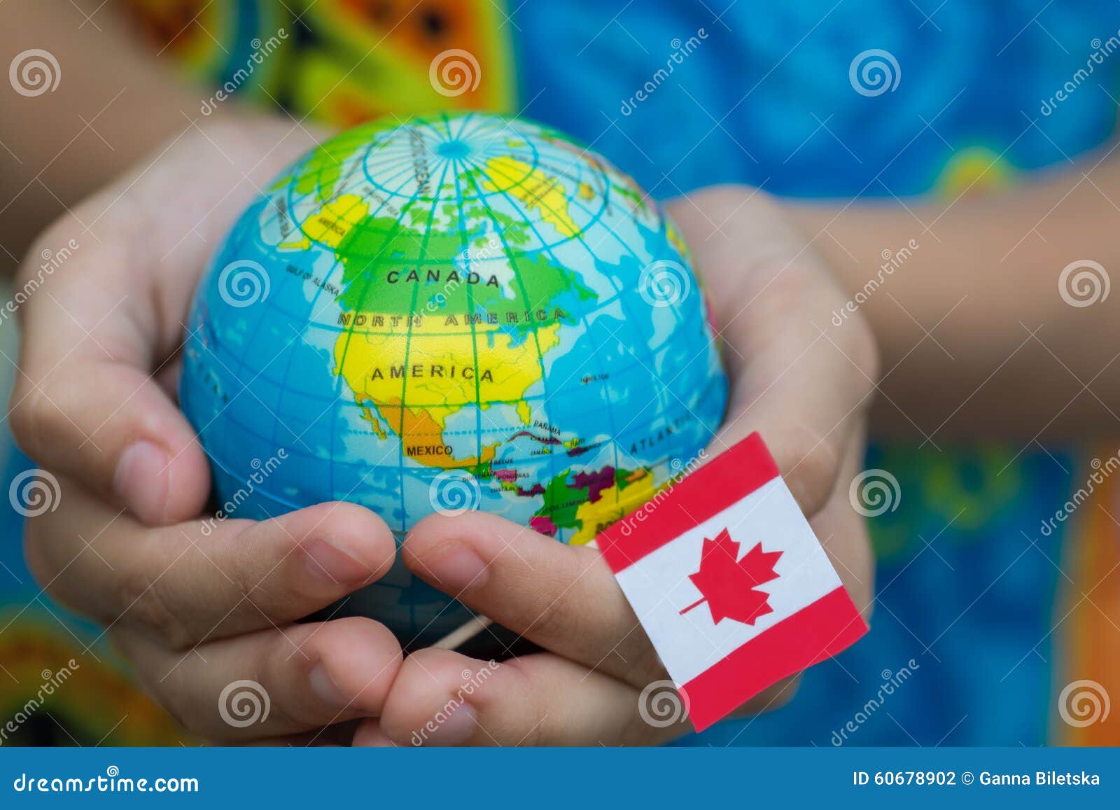Bol Ter Beschikking Met De Vlag Van Canada Stock Foto - Image of domein ...
