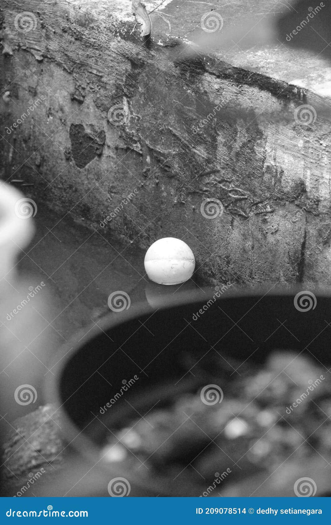 Bola Blanca Y Negra En El Pool Foto de archivo - Imagen de hierro ...