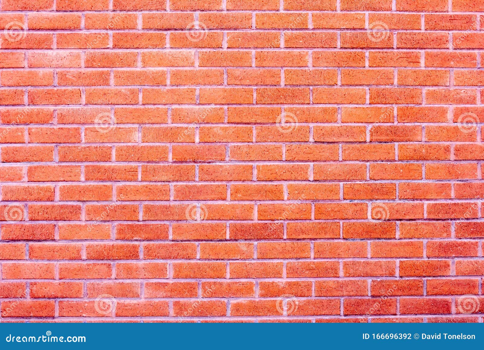 Mason With Brick House On Construction Site Stock Image | CartoonDealer ...