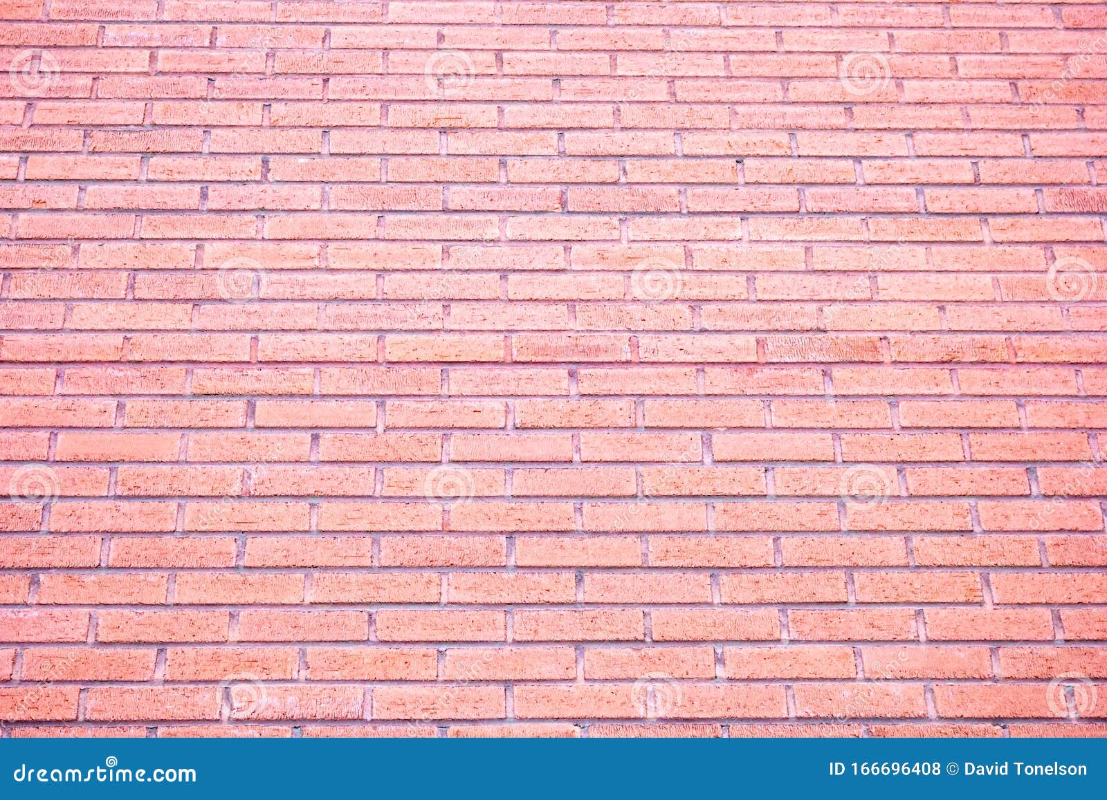 Mason With Brick House On Construction Site Stock Image | CartoonDealer ...