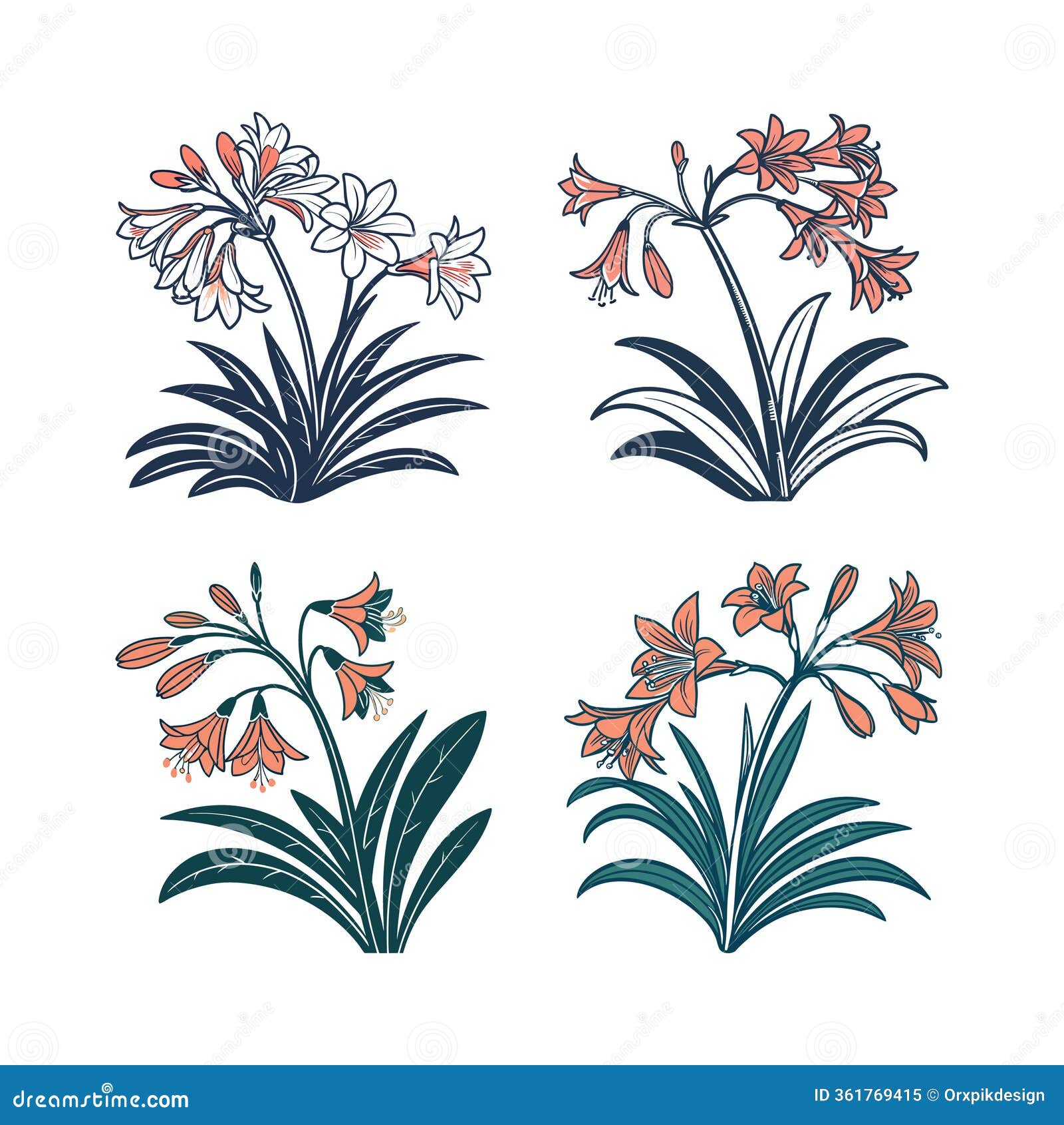 Clivia House Plant In Flower Pot Cartoon Vector | CartoonDealer.com ...