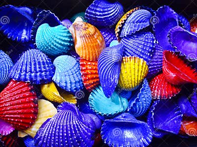 Bold Color Shells stock photo. Image of color, blue, pattern - 26732562