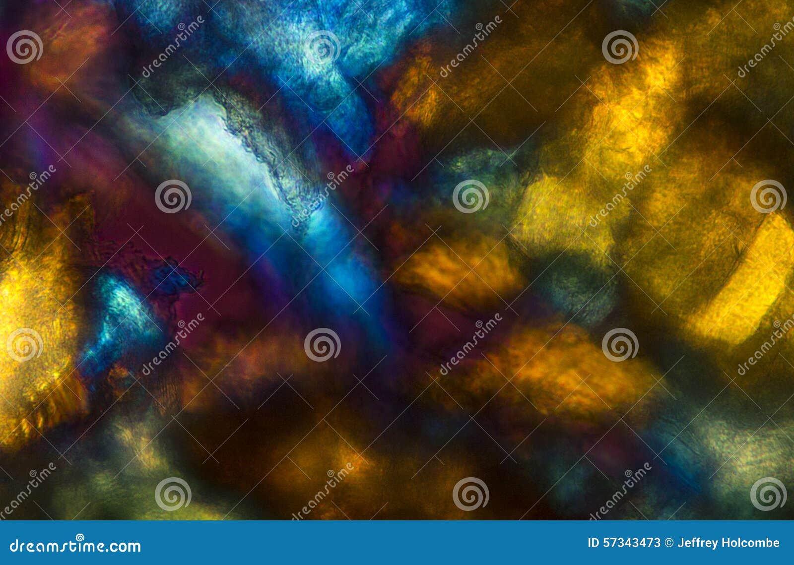 Bold, Colorful Abstract Micrograph of Bumble Bee Muscle and Cara Stock ...