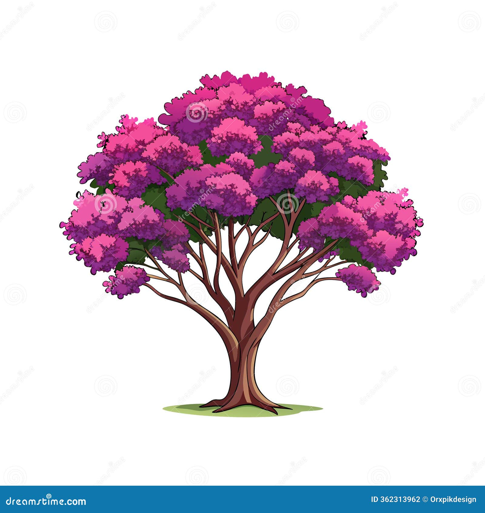 Bold Crape Myrtle Tree Illustration On White Background Royalty-Free ...