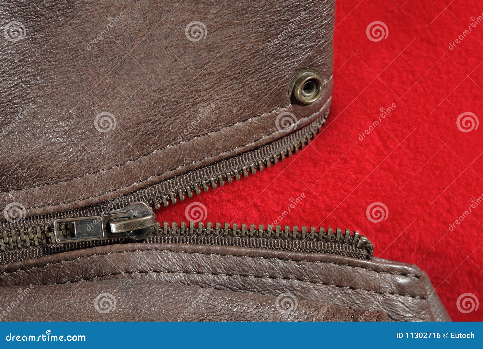 Bold and Dangerous Clothing Stock Photo - Image of imagination, cloth ...