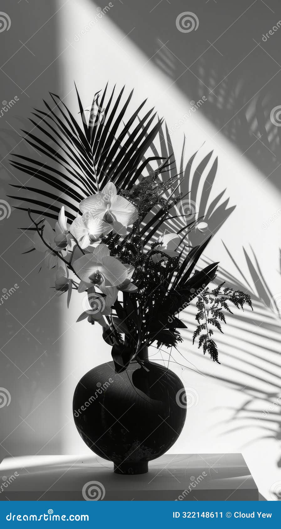 Bold and Dramatic Mockup Arrangement in Silhouette. Stock Illustration ...