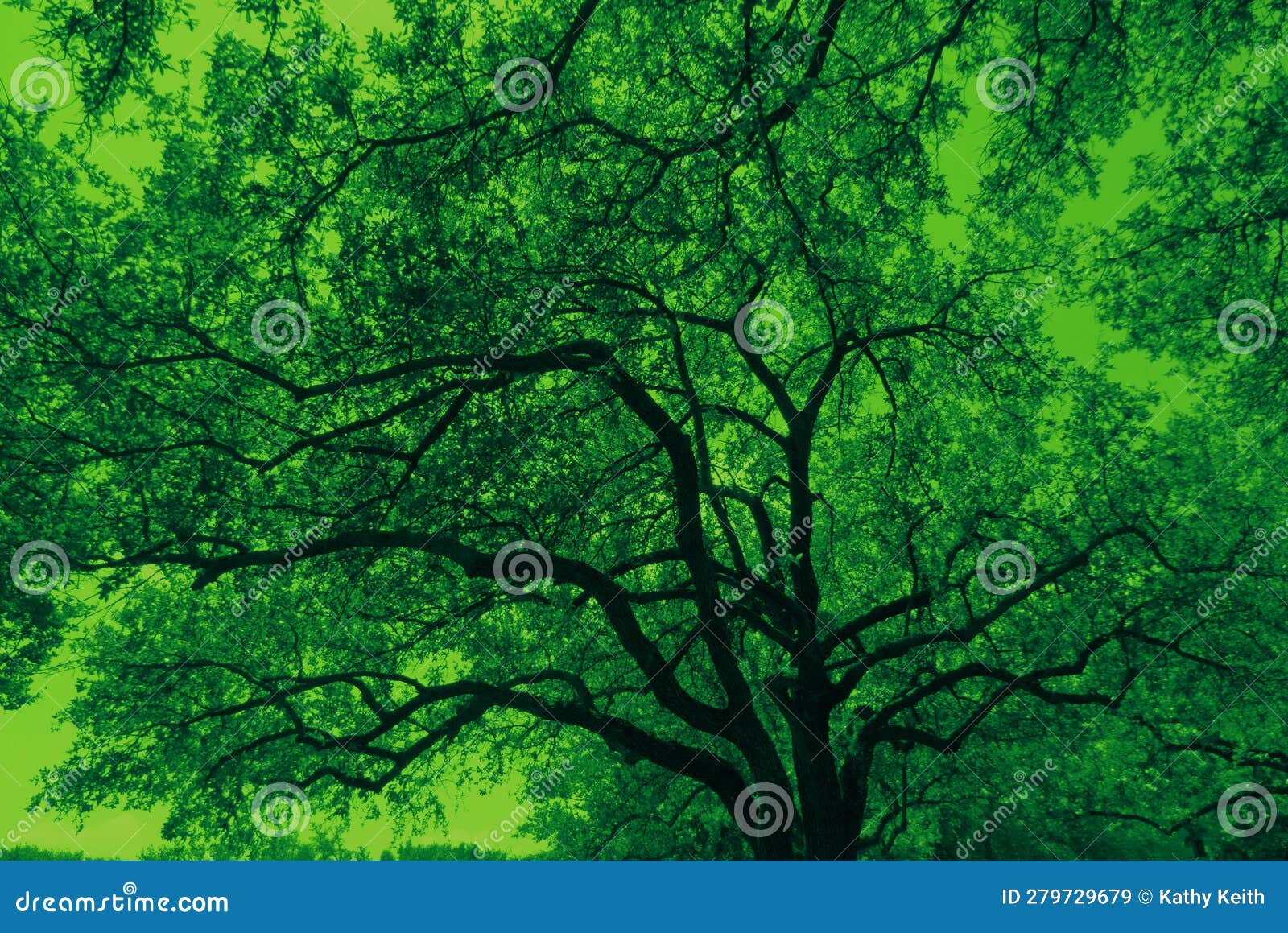 Bold Green and Yellow-green Variation on a Tree and Sky Stock Image ...