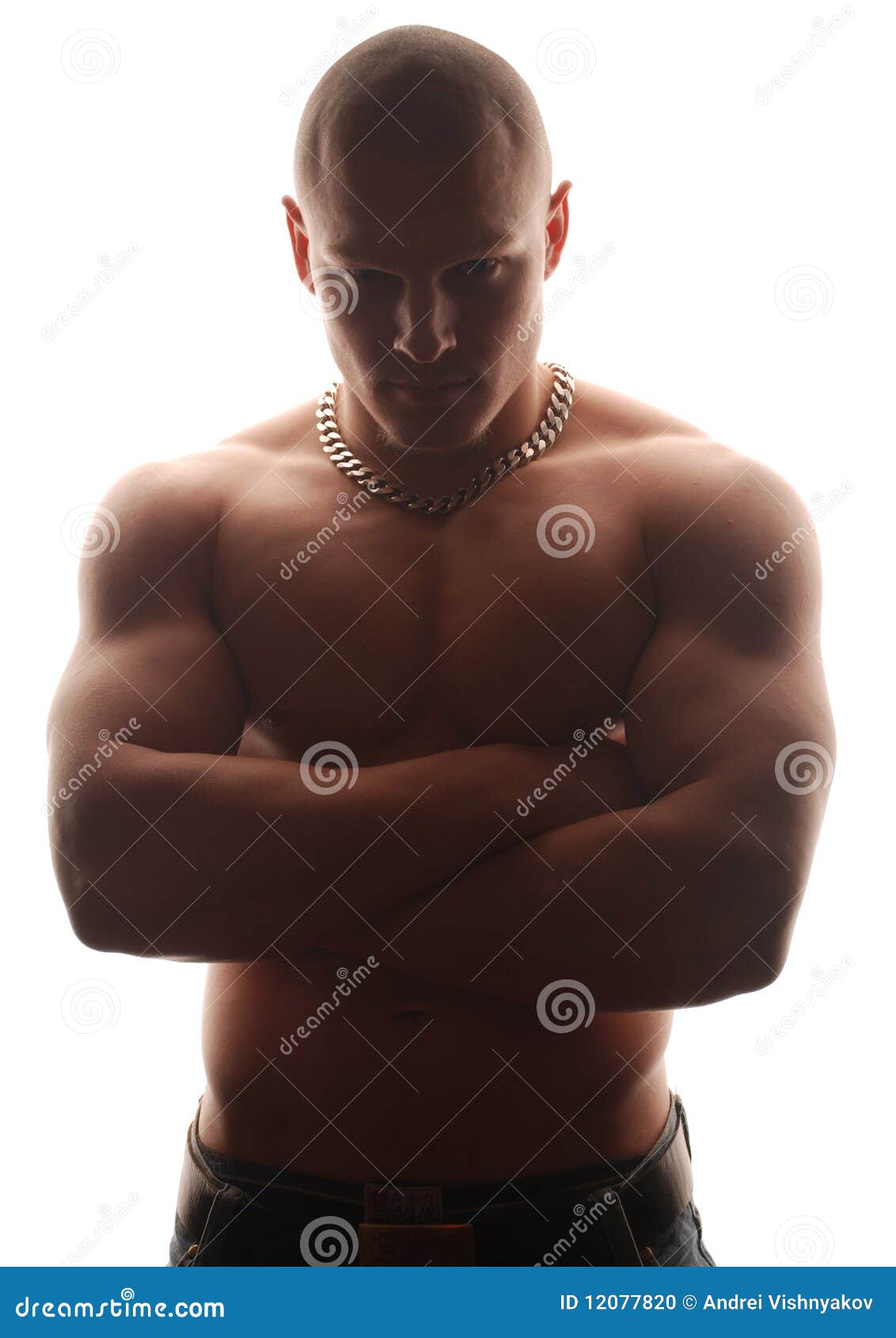 Bold male model stock photo. Image of muscle, strong - 12077820