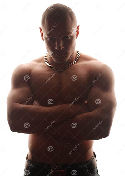 Bold male model stock photo. Image of muscle, strong - 12077820