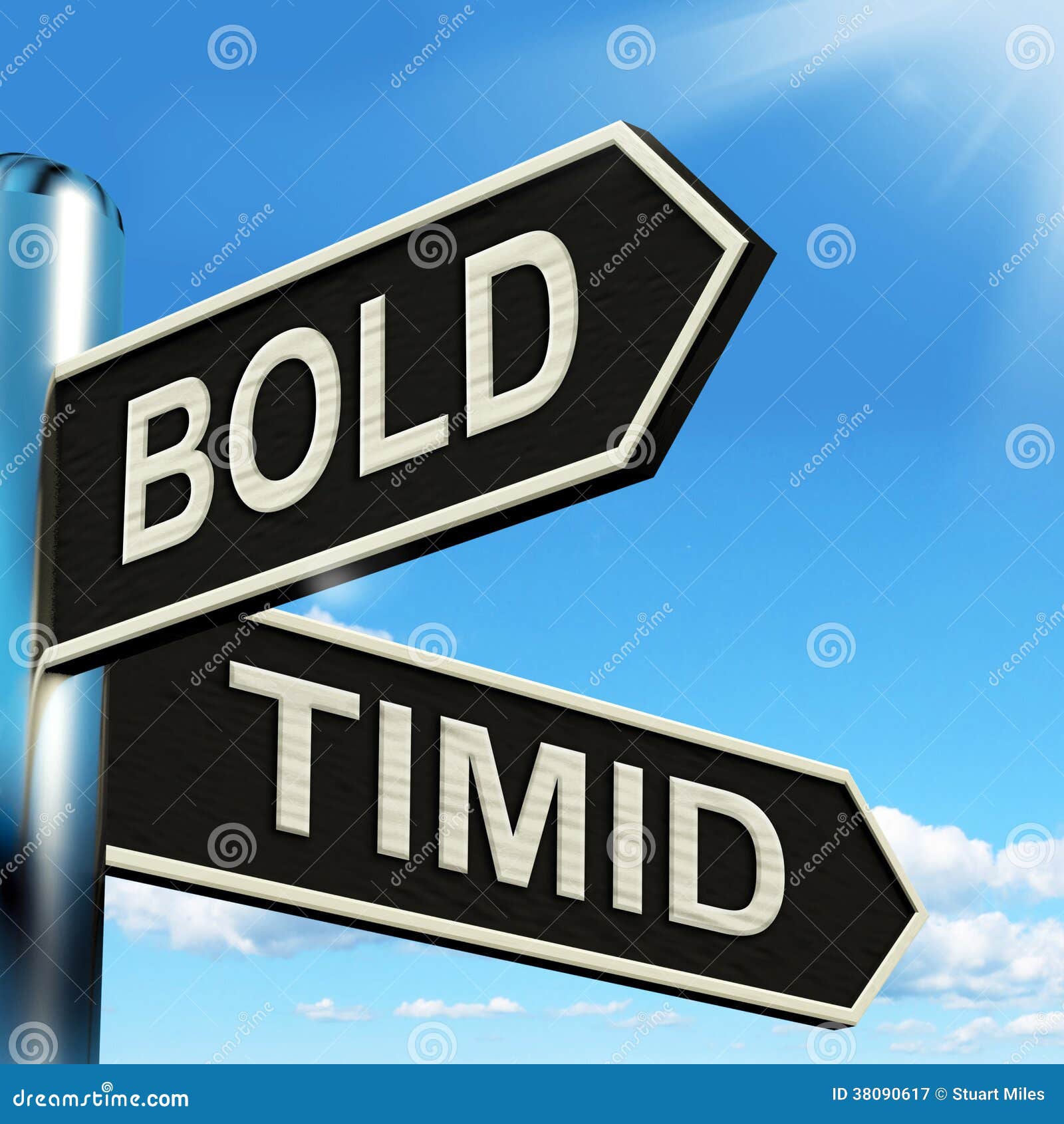 Bold Timid Signpost Shows Extroverted and Shy Stock Illustration ...