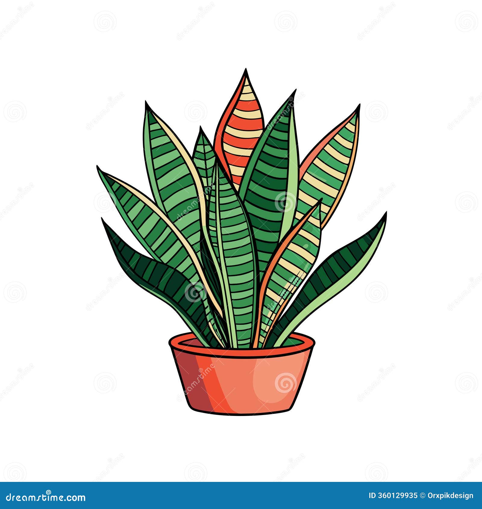 Bold Variegated Dwarf Musa Houseplant Artwork Vector Illustration ...