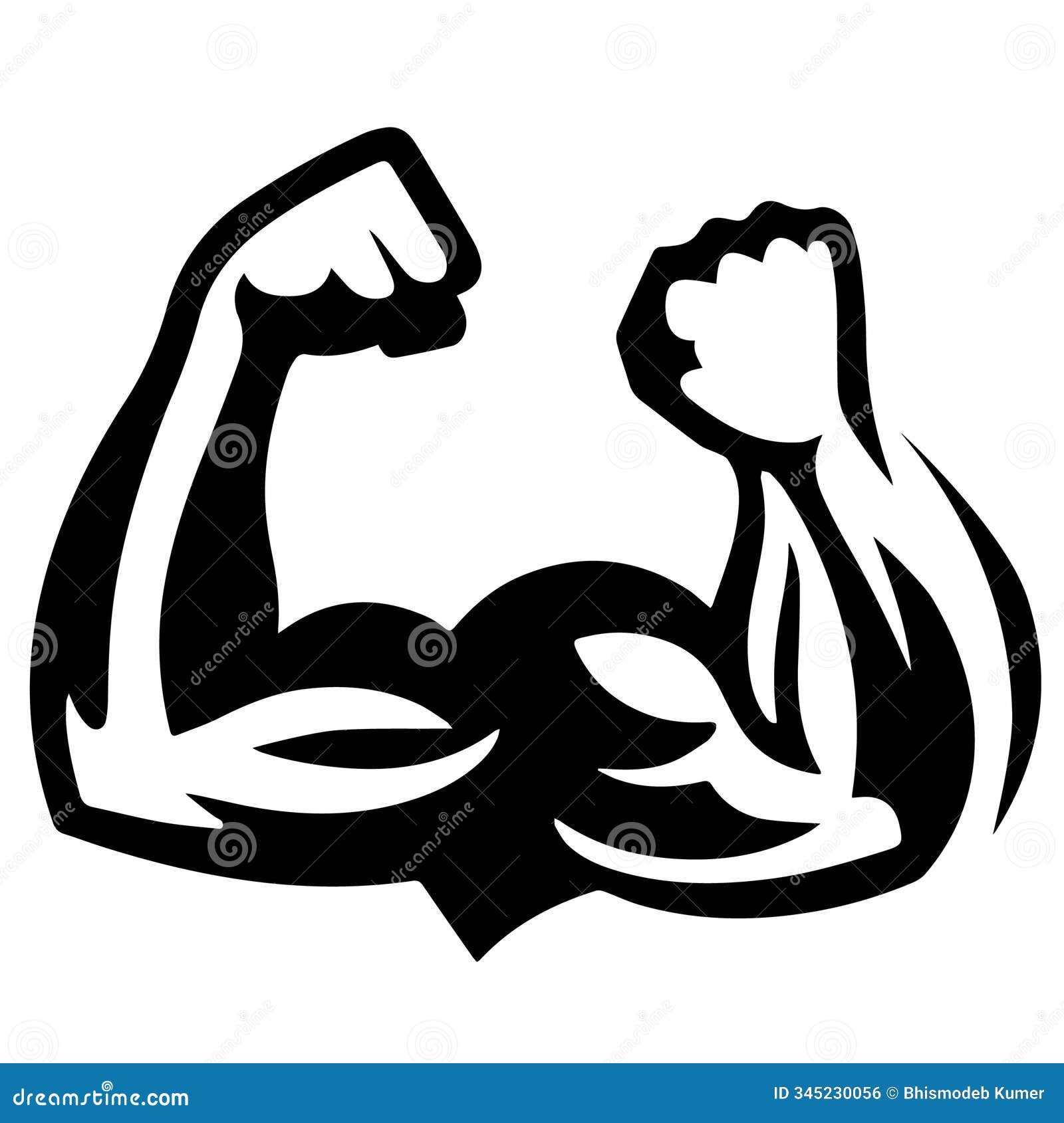 Forearm Muscles - Anatomy Muscles Isolated On White - 3D Illustration ...