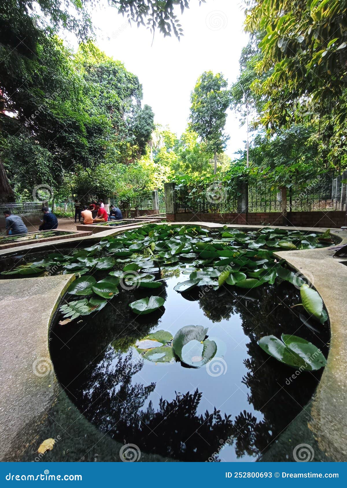 Bolda Garden editorial stock photo. Image of water, garden - 252800693