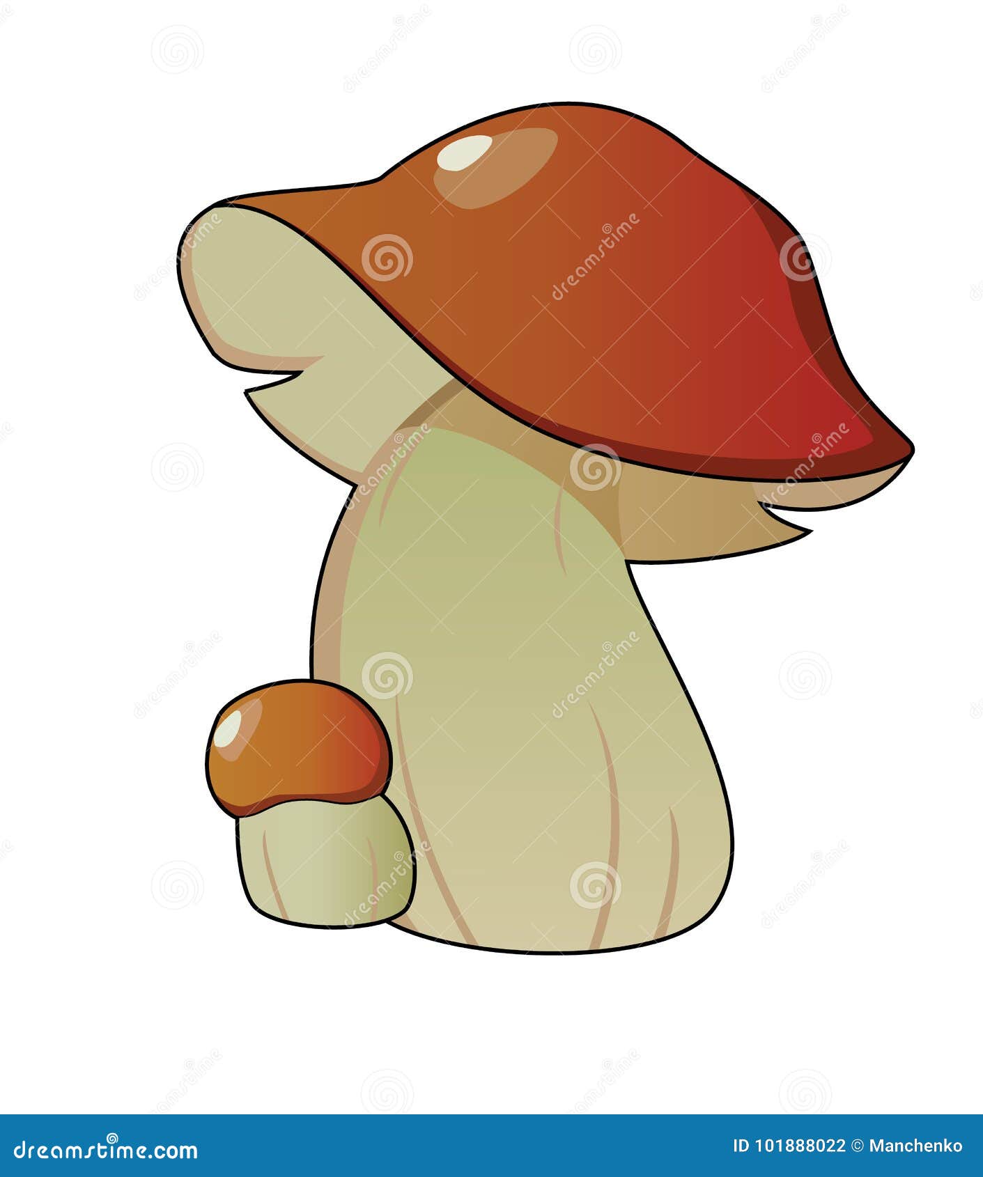 Bolete Mushrooms stock vector. Illustration of illustrations - 101888022