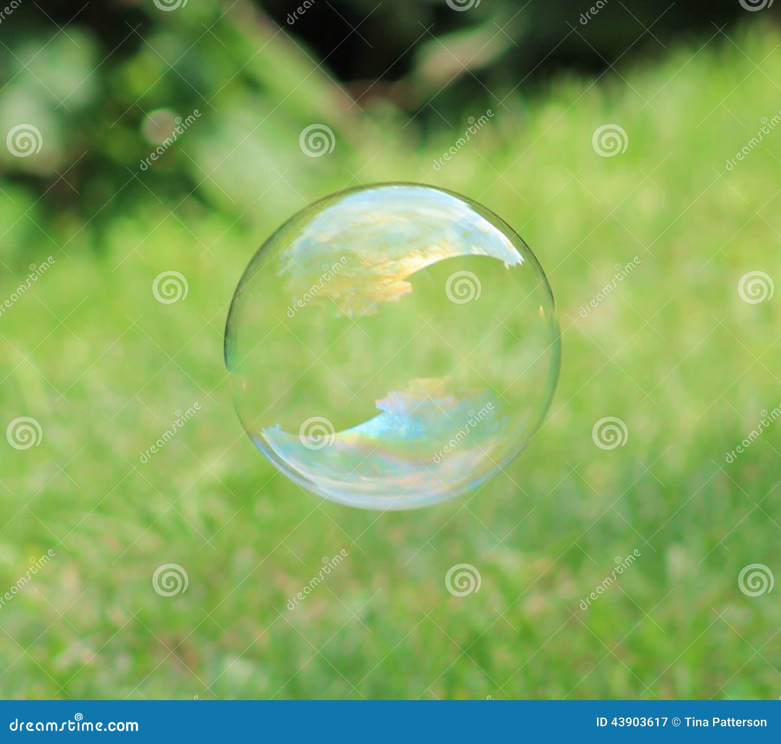 Bolha imagem de stock. Imagem de divertimento, brinquedos - 43903617