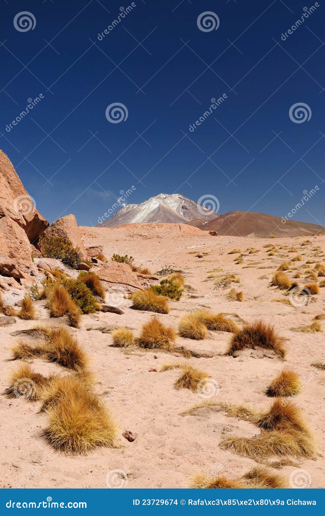 Bolivia - Eduardo Avaroa National Park Stock Photo - Image of andean ...